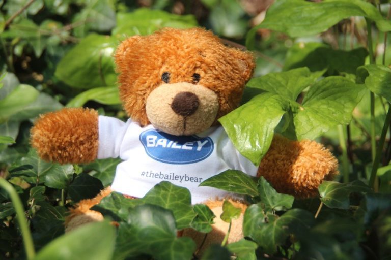 The Bailey Bear - Bailey of Bristol