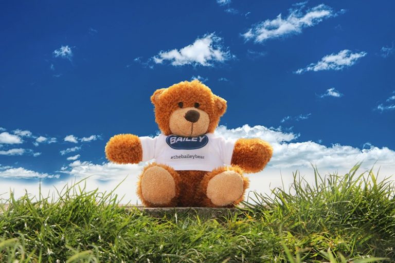 The Bailey Bear - Bailey of Bristol