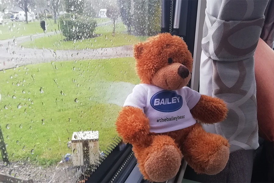 The Bailey Bear - Bailey of Bristol