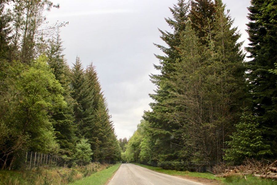 The best campsites Scotland has to get close to nature - Bailey of Bristol