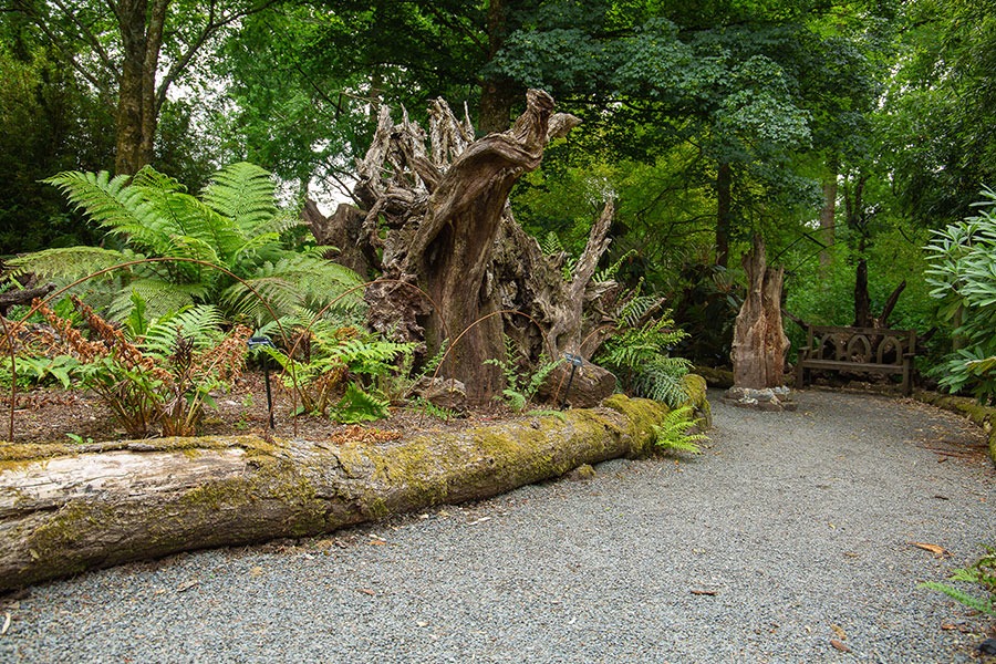 20 of the best campsites in Devon to visit - Bailey of Bristol