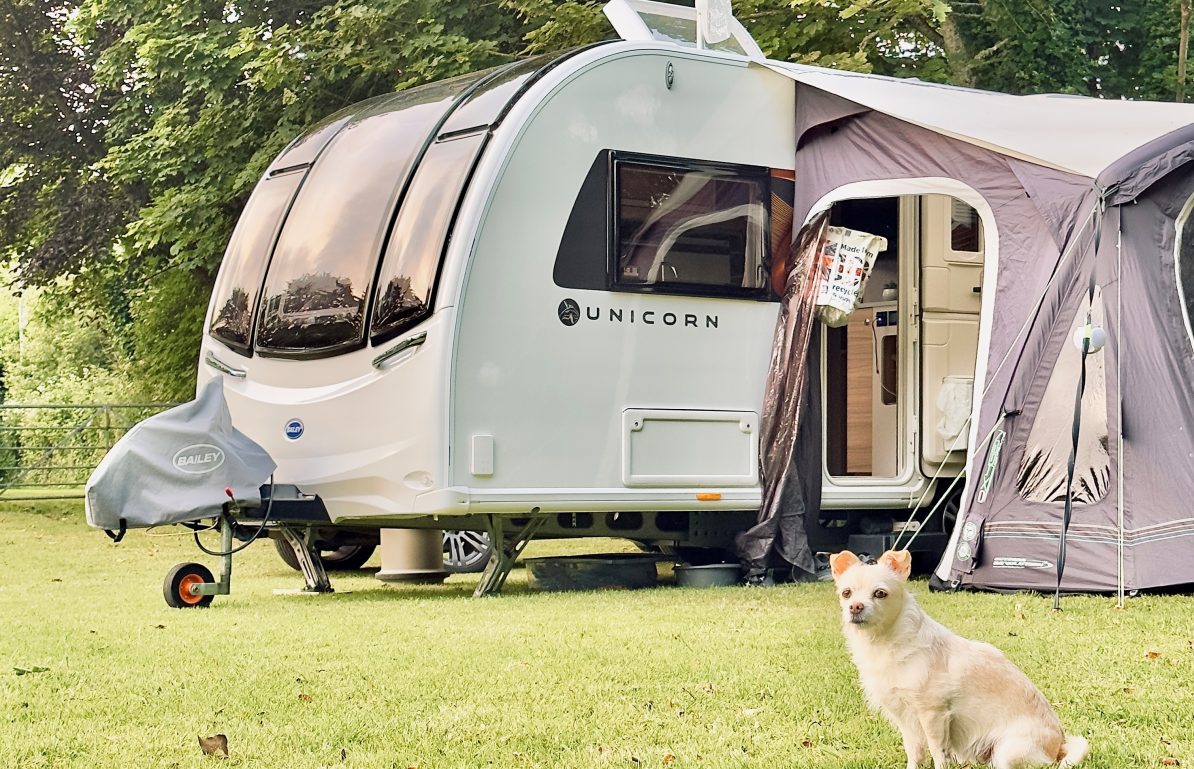 Caravanning with Pets - Bailey of Bristol